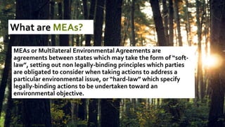 Multilateral-Environmental-Agreements-MEAs.pptx