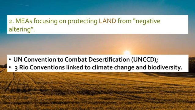 Multilateral-Environmental-Agreements-MEAs.pptx