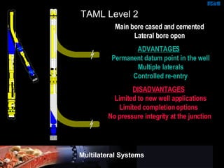 Multilateral Systems, pumpsandpipesmdhc | PPT