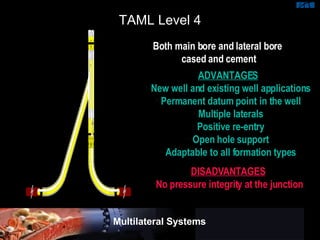 Multilateral Systems, pumpsandpipesmdhc | PPT