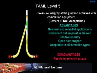 Multilateral Systems, pumpsandpipesmdhc | PPT
