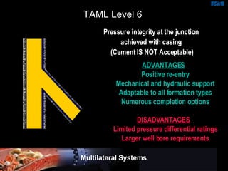 Multilateral Systems, pumpsandpipesmdhc | PPT