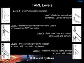 Multilateral Systems, pumpsandpipesmdhc | PPT