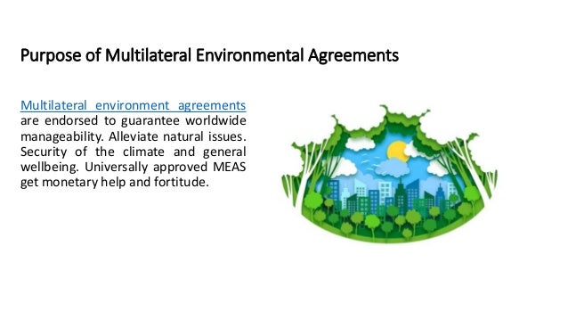 Multilateral environmental agreement.pptx