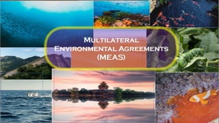 Multilateral environmental agreements (meas) and sustainable | PPTX