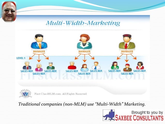 Multi level marketing | PPT | Sales | Business