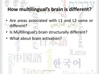 Multilingual brain | PPTX