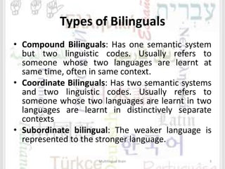 Multilingual brain | PPTX