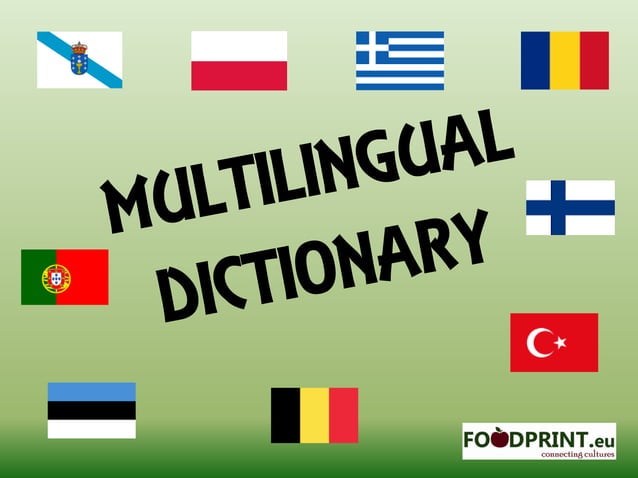 Multilingual dictionary i | PPT