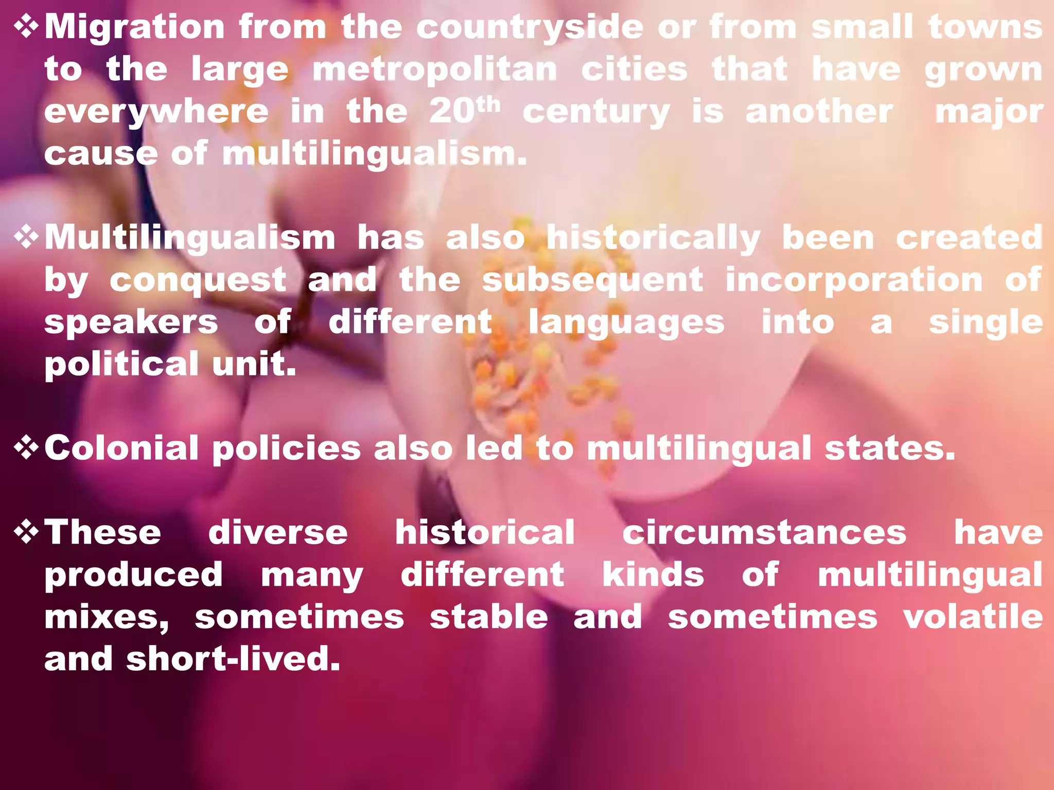 Multilingualism | PPTX