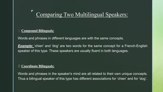 Multilingualism | PPTX