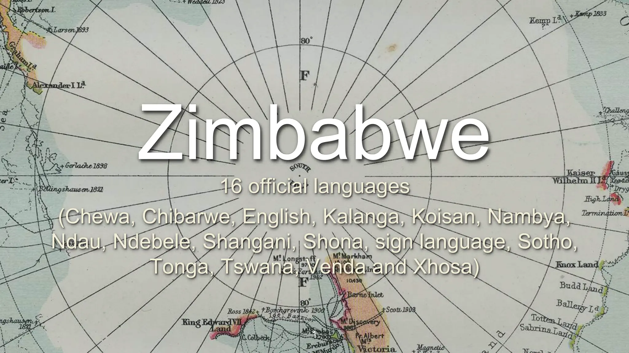 Multilingualism and Multiculturalism copy.pptx