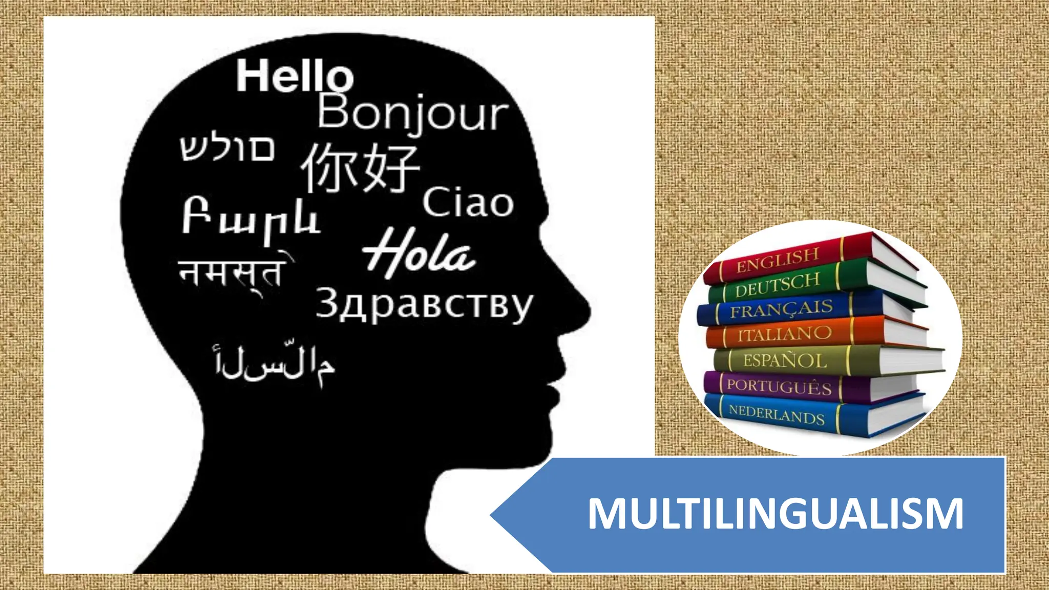 Multilingualism in Socienty Introduction Part | PPT