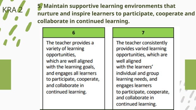Classroom Observation Indicators PEMS 2024-2025 | PPTX