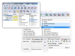 Multilizer Enterprise - Quick Introduction | PPTX