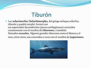 Animales Acuaticos | PPT