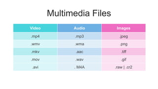 Introduction to Multimedia Applications | PDF