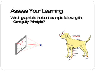 Multimedia And Contiguity Principles | PPT
