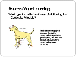 Multimedia And Contiguity Principles | PPT