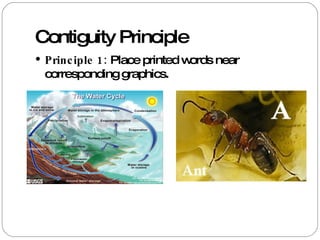 Multimedia And Contiguity Principles | PPT