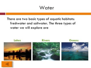 Multimedia Pp[1] | PPT