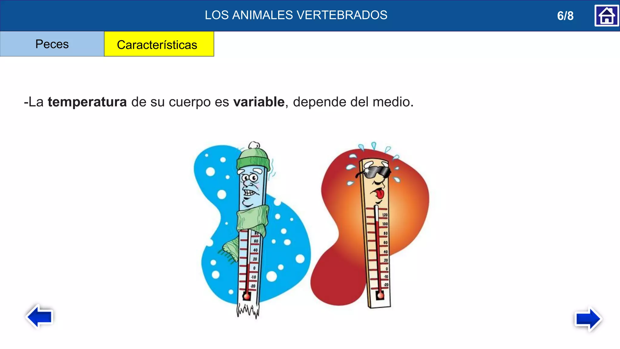Multimedia - PwP - Animales vertebrados | PPT