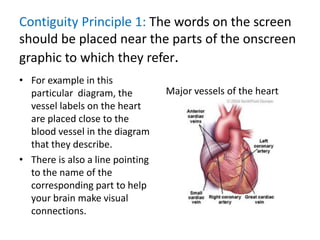 Multimedia And Contiguity Principles | PPTX