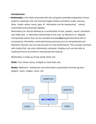 Multimedia Application Development | PDF