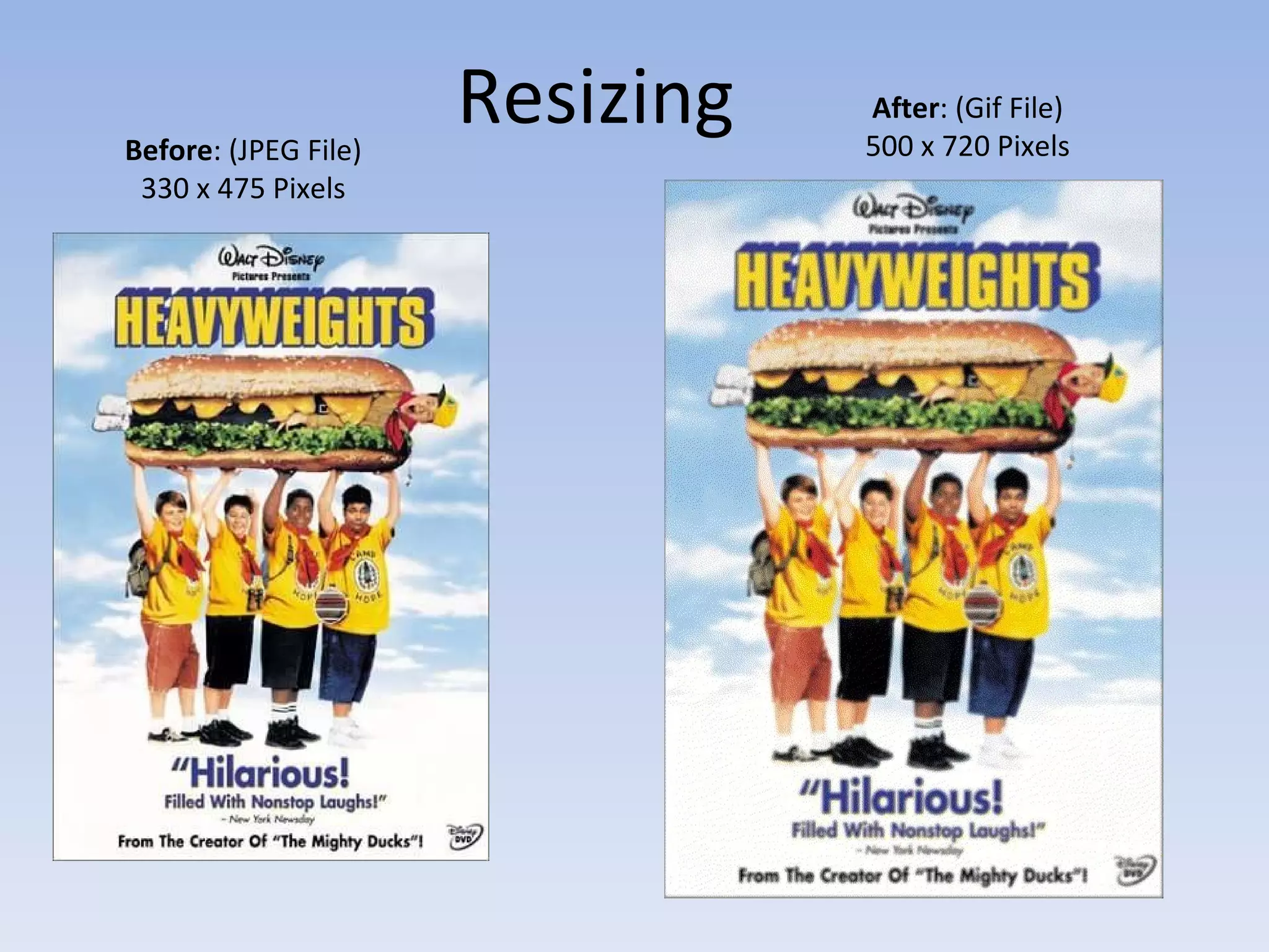 Multimedia assignment | PPT