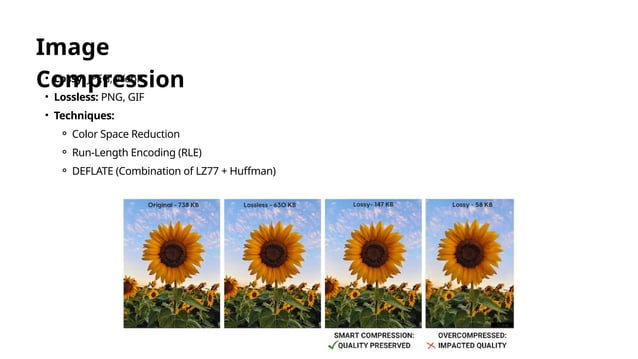 multimedia Compression presentation | PPTX