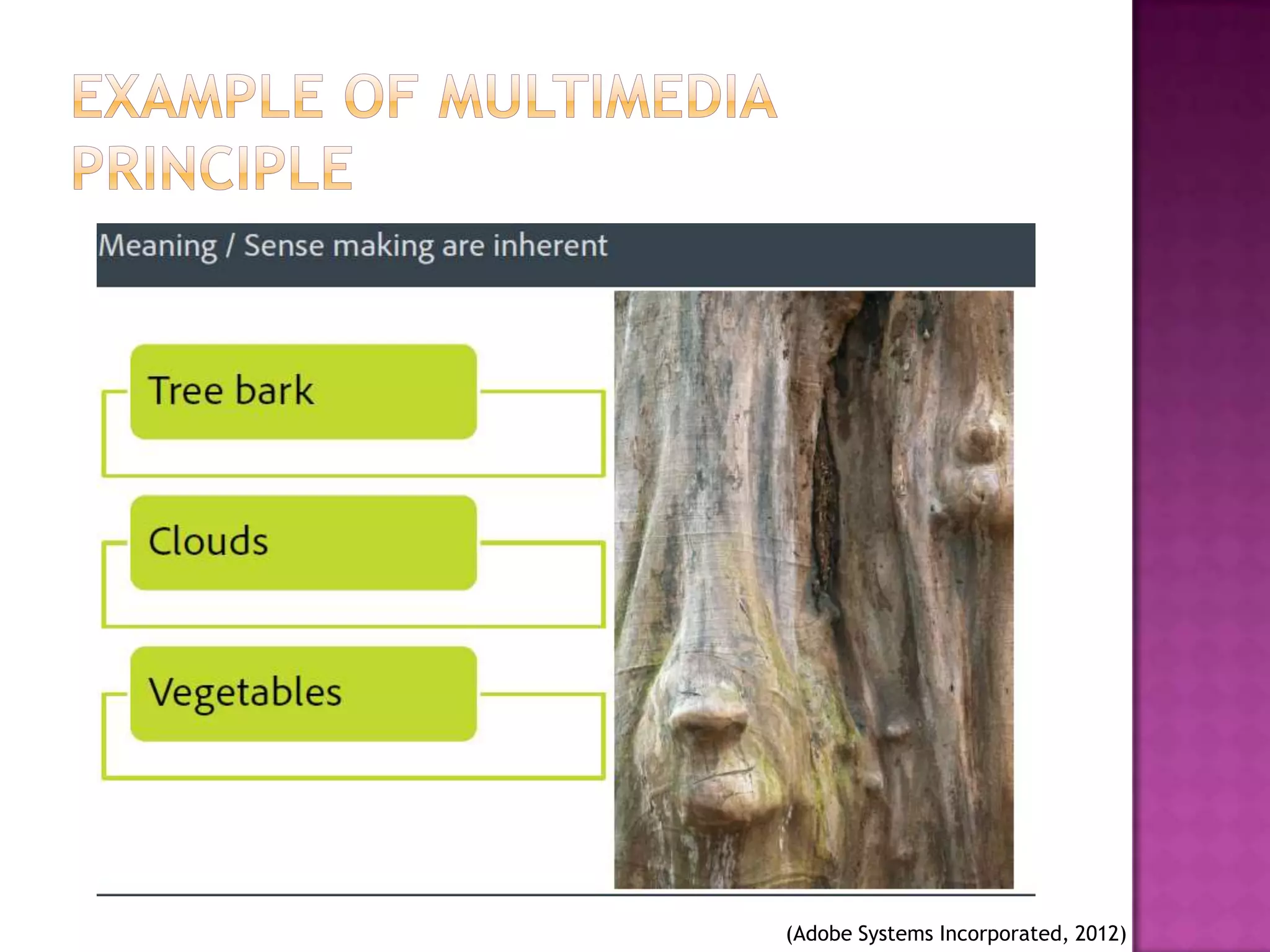 Multimedia & contiguity principles and uses | PPTX | Online Education ...