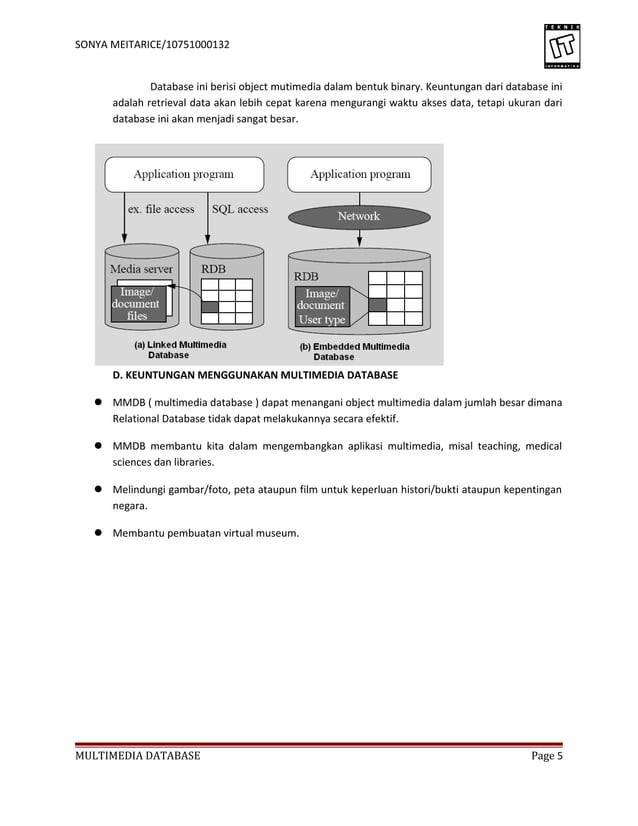 Multimedia database | PDF