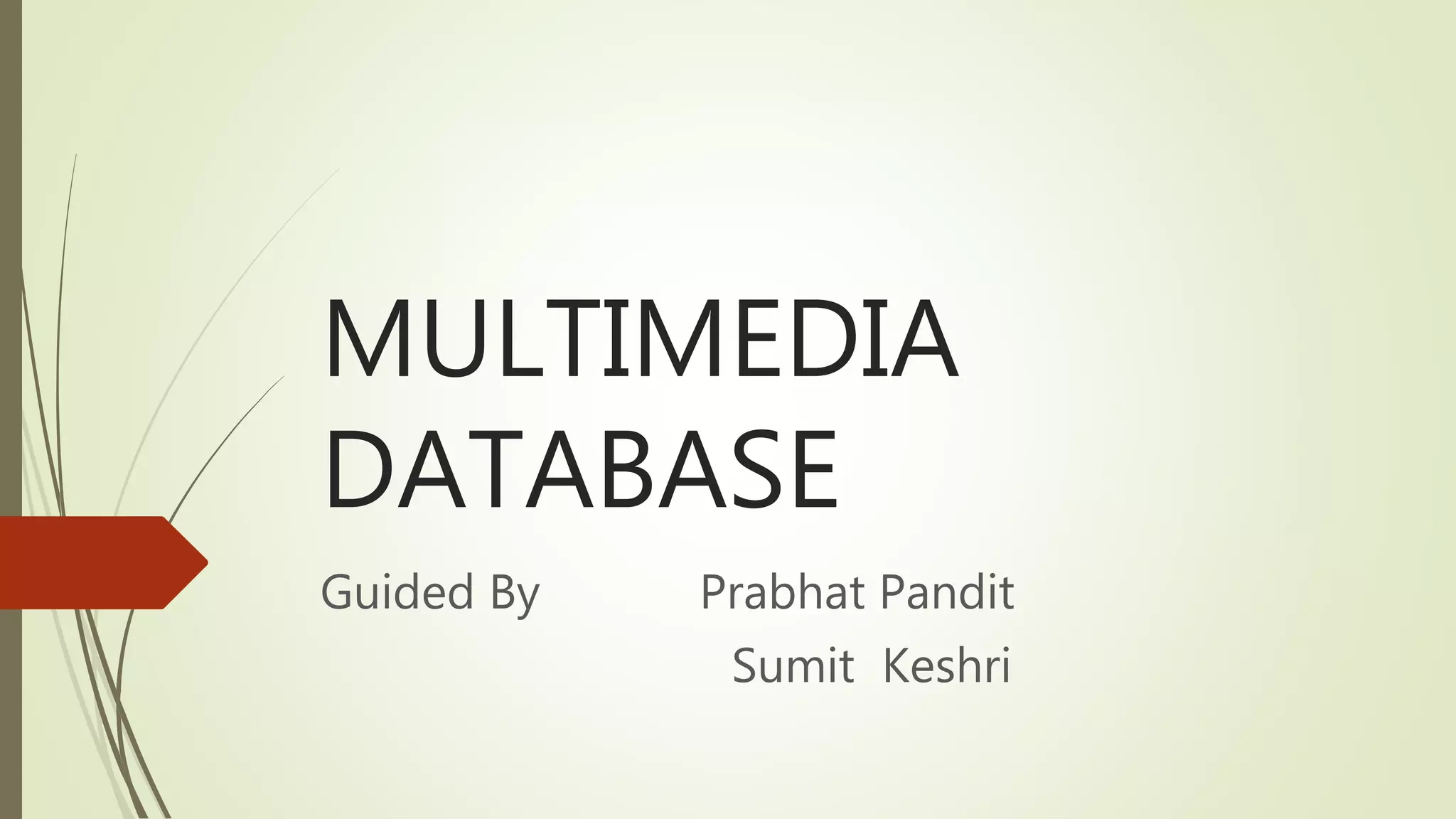 Multimedia database | PPTX