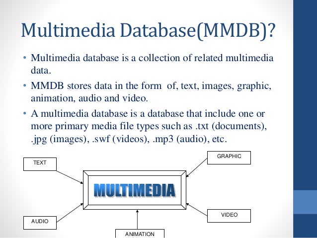 Multimedia Database