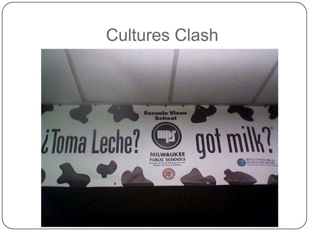 Multimedia Essay | PPT