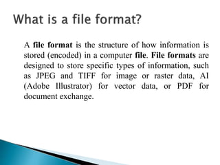 Multimediafileformats | PPT