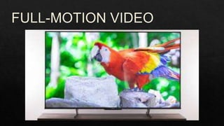 MULTIMEDIA INFORMATION AND MEDIA.pptx