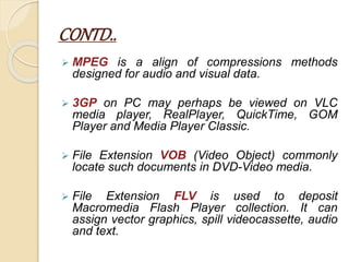 Multimedia IT Presentation | PPTX | Digital Audio | Computer Software and Applications