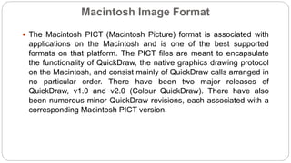 MultimediaLecture5.pptx