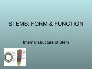 Multimedia lession | PPT