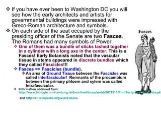 Multimedia lession | PPT