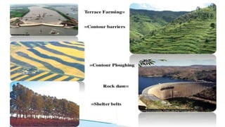 Multimedia lesson plan | PPT