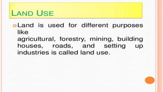 Multimedia lesson plan | PPT