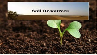 Multimedia lesson plan | PPT