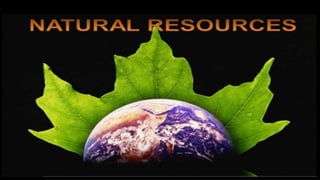 Multimedia lesson plan | PPTX