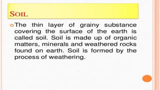 Multimedia lesson plan | PPT