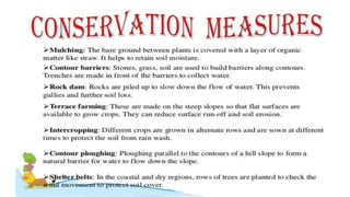 Multimedia lesson plan | PPTX