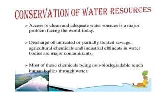 Multimedia lesson plan | PPTX