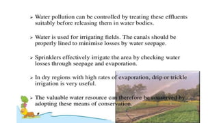 Multimedia lesson plan | PPT