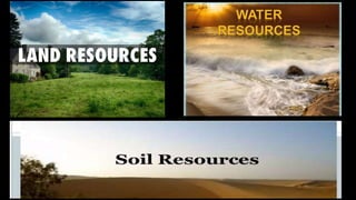 Multimedia lesson plan | PPTX